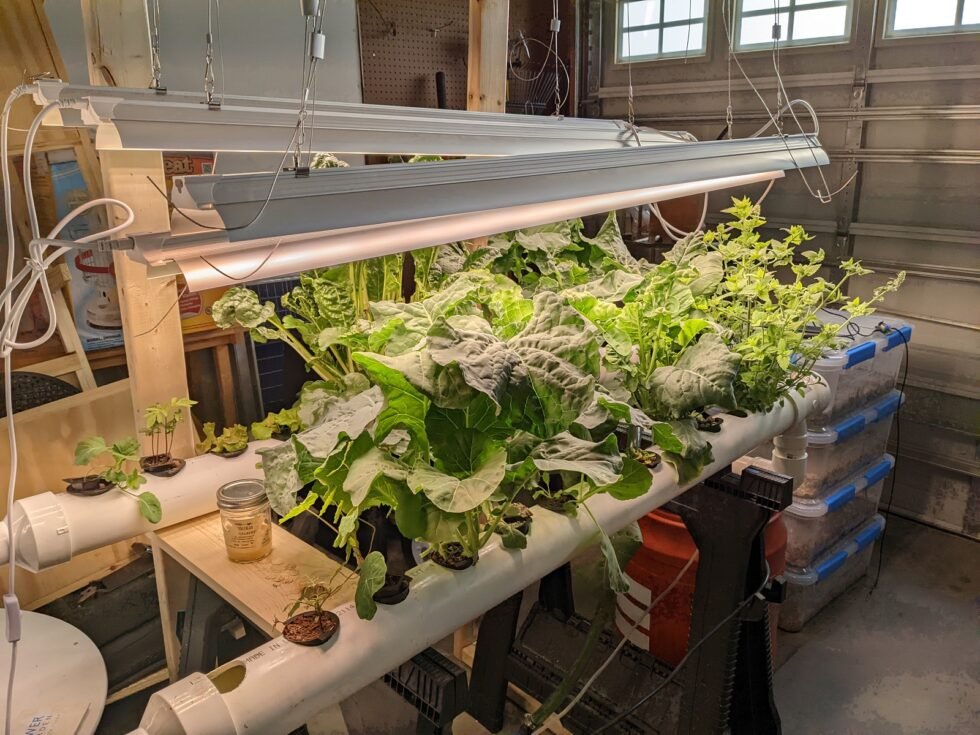 Hydroponics Automation Overview